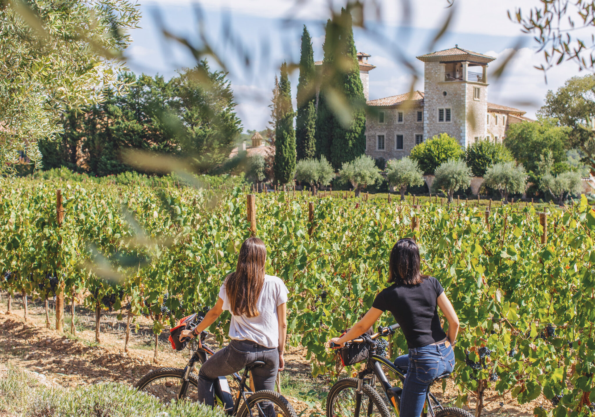 Our Guide to Family-Friendly Activities in Provence